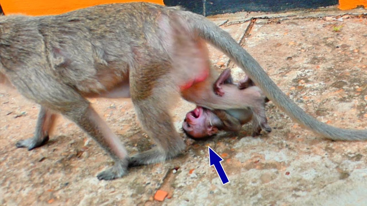 OMG !Poor baby tiny MATOS cries hug his legs mom behind -As Mom walk is ...