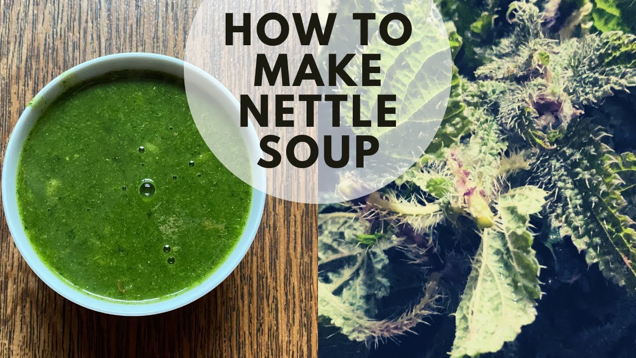 HOW TO MAKE NETTLE SOUP | NETTLE SOUP RECIPE | TYPICAL NEPALI FOOD ...