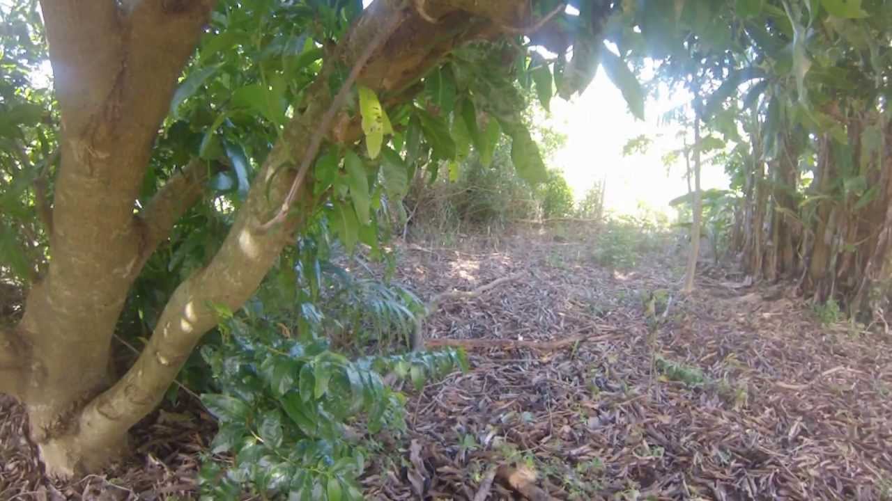 [ Airsoft Réunion ] Saint Joseph le 08/05/13 [ PSSB ] - YouTube