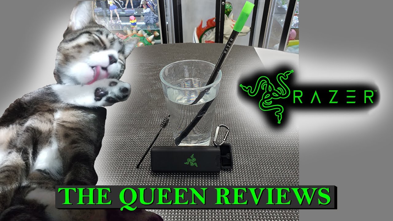 THE QUEEN REVIEWS: Razer Reusable Straw |Razer| - YouTube