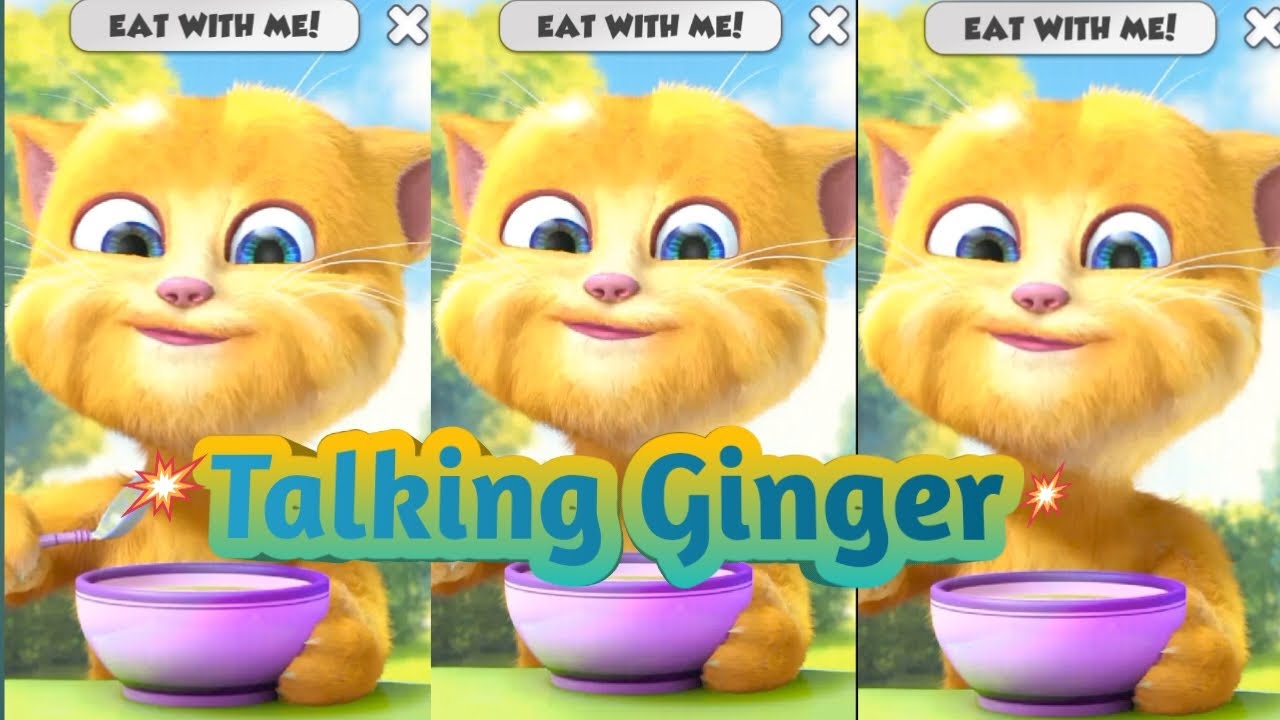 Talking Ginger - YouTube