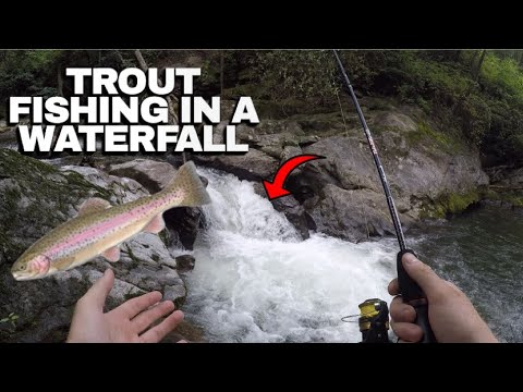 Trout Fishing in a WATERFALL!? - YouTube
