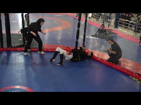 مسابقات عقاب سرخ MMA بانوان در ایران 