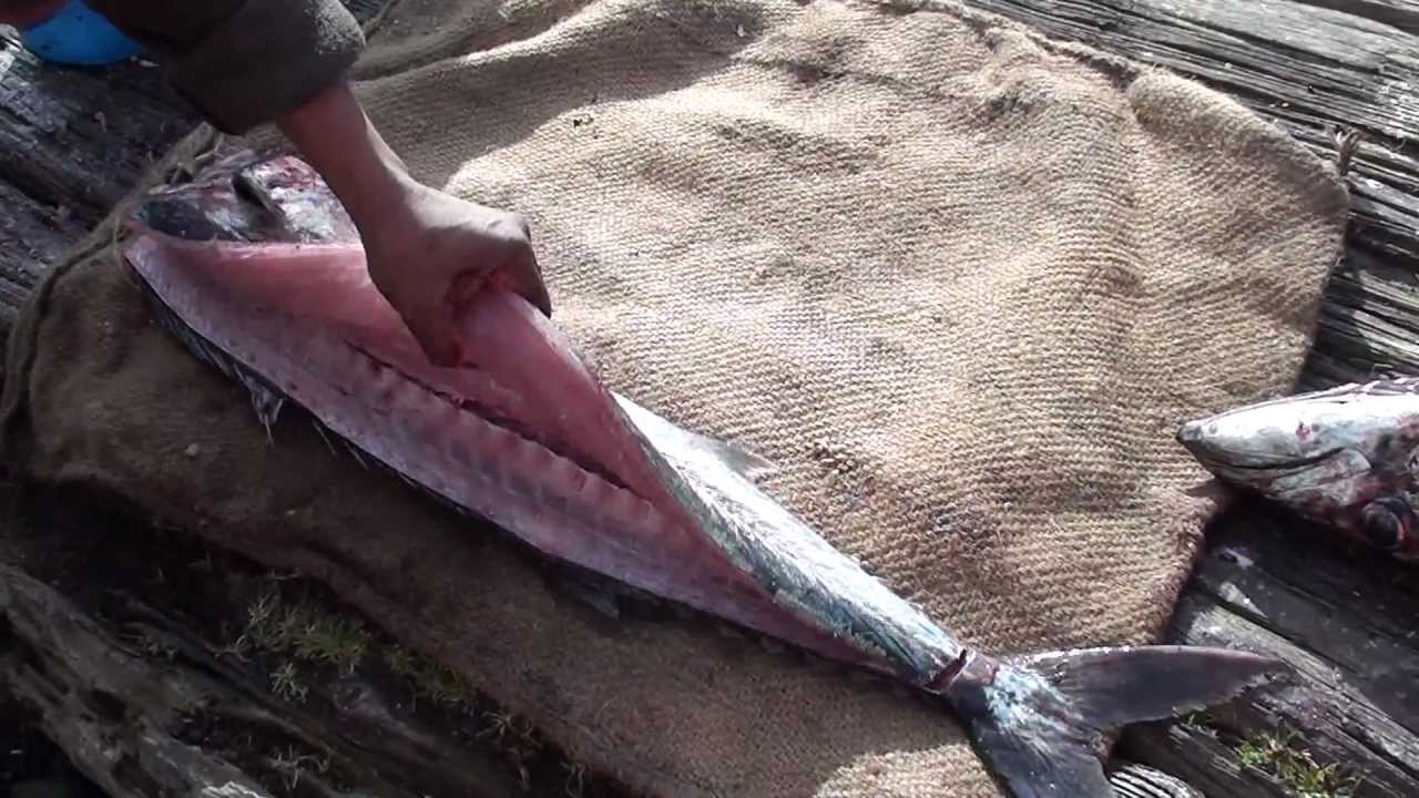 How to vlek snoek - YouTube