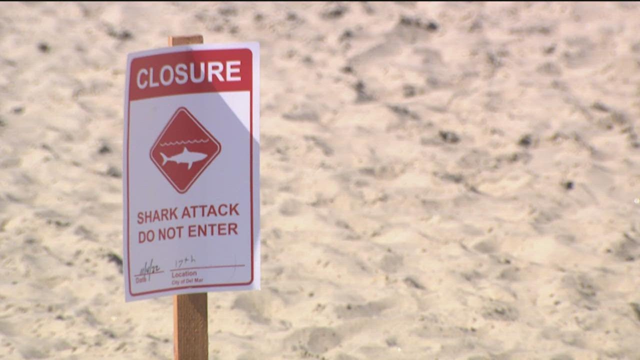 Del Mar Beach closed after shark attack on a female swimmer - YouTube