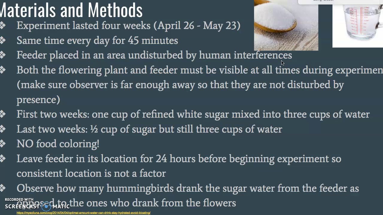 Macy Rowe-BIO 263 Independent Project - YouTube