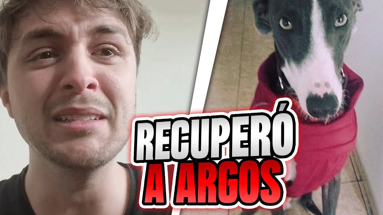 DALAS ROMPE a LLORAR TRAS CONTAR COMO HA GANADO EL JUICIO DE SU PERRO ...