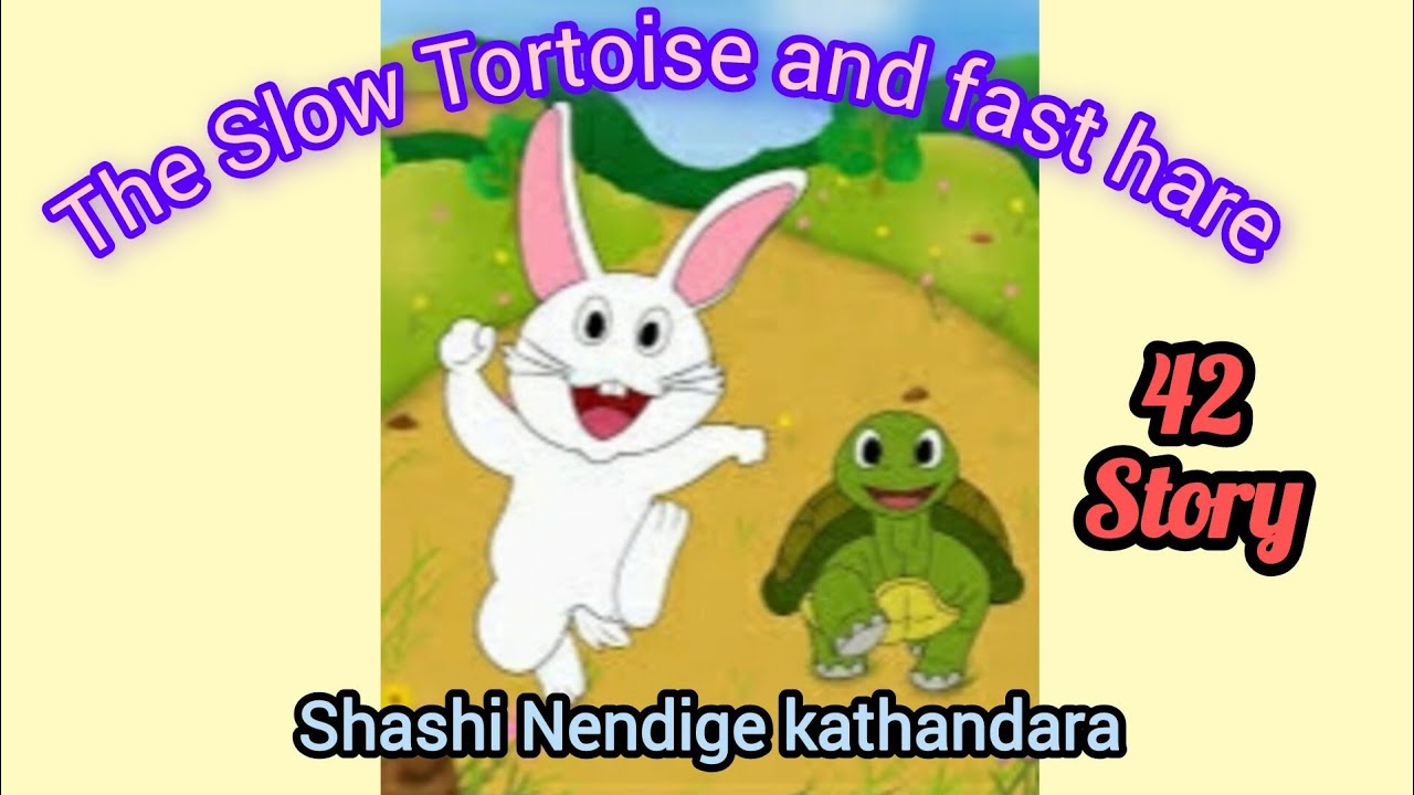 🐢the slow tortoise and the fast hare🐇 - YouTube