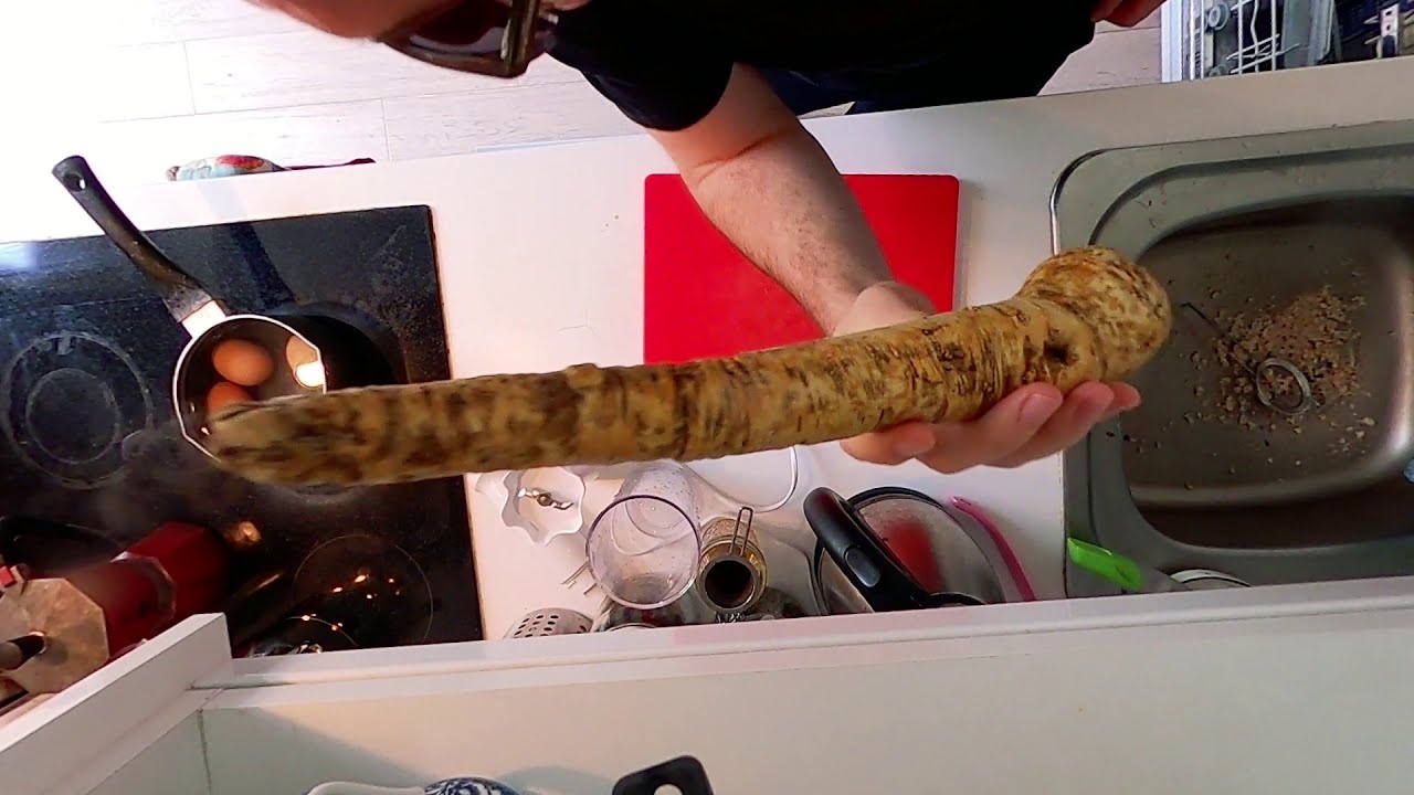 How to make fresh Maror (מרור) for Passover - YouTube