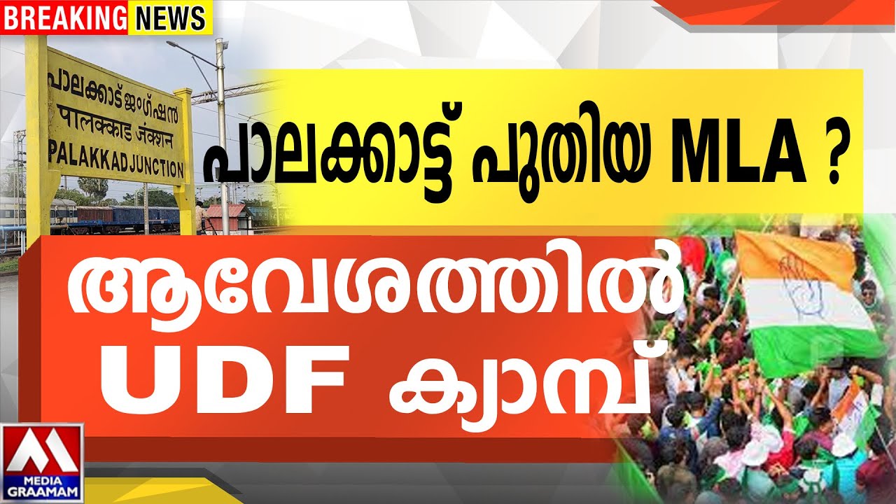 പാലക്കാട്ട് പുതിയ MLA ? | ആവേശത്തിൽ UDF ക്യാമ്പ് - YouTube