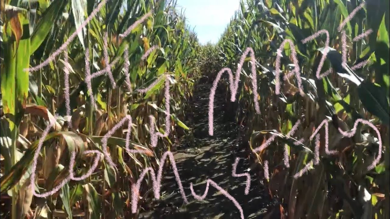 The Corn Maze Mystery S2E4 - YouTube