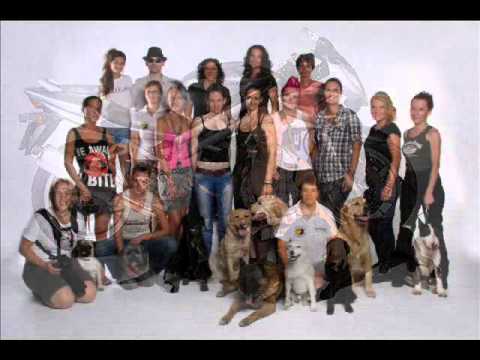Csam Naptar rövid spot 2013