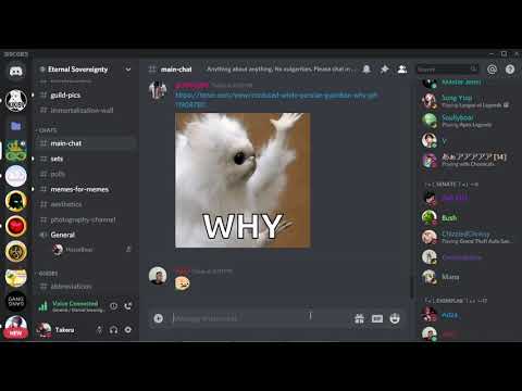 6 Mins of Staring At The Discord Guild Chat!! (Meme Video)