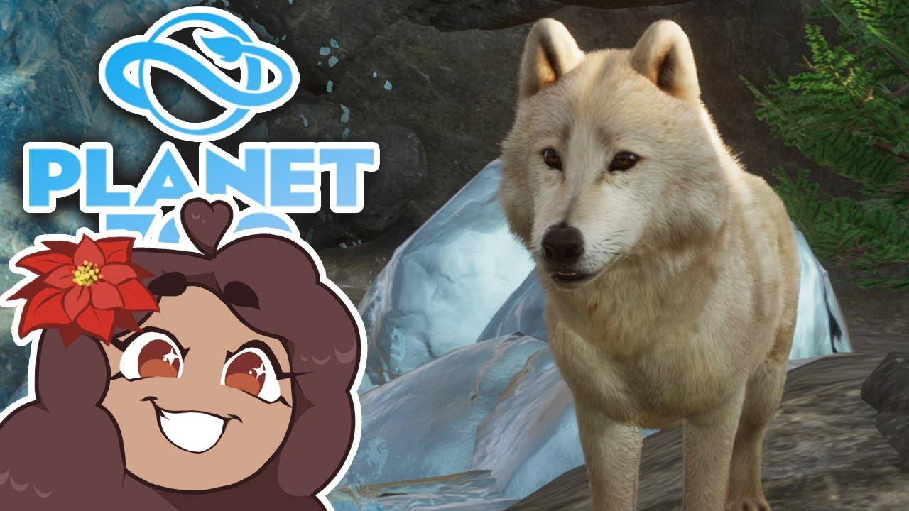 The WILD Glacier Wolf Pack!! 🐏 Planet Zoo: Ice Ice Outpost • #18 - YouTube