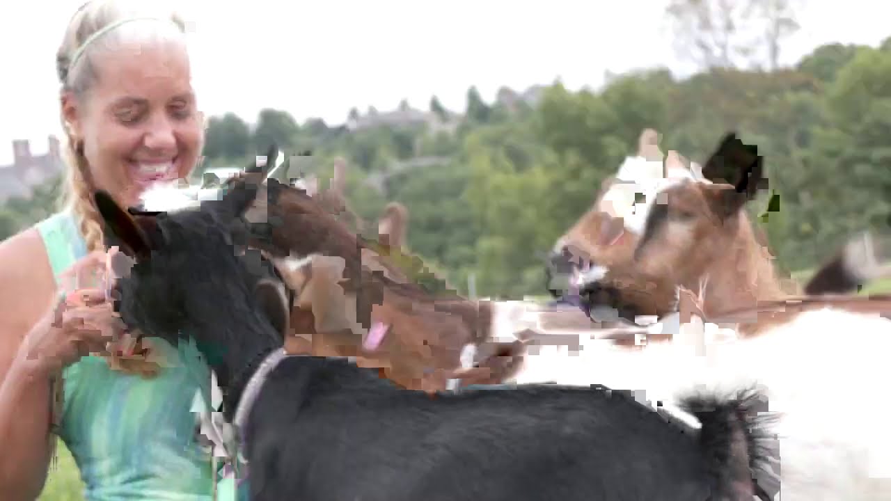 Commit to Be Fit - GOAT YOGA - YouTube