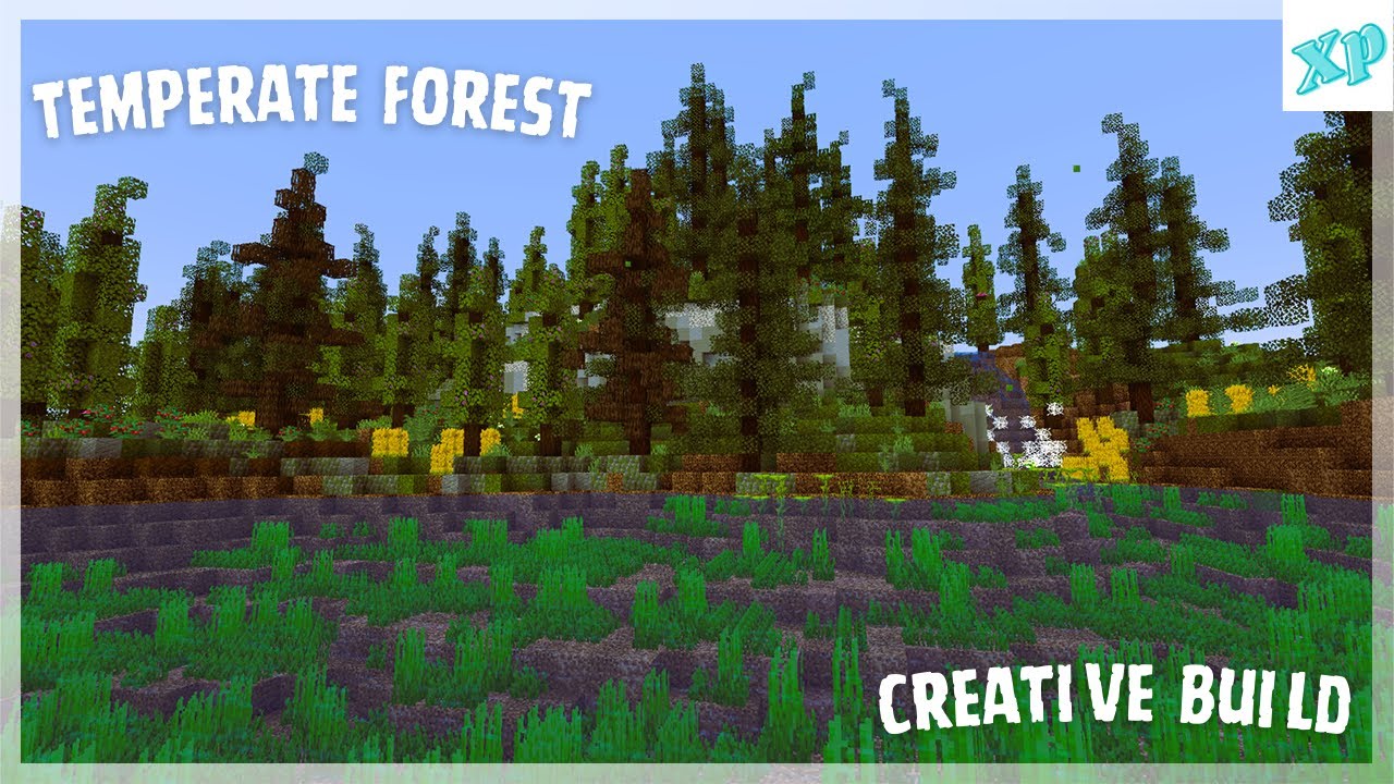 Building A Temperate Forest Landscape! Minecraft 1.20! - YouTube