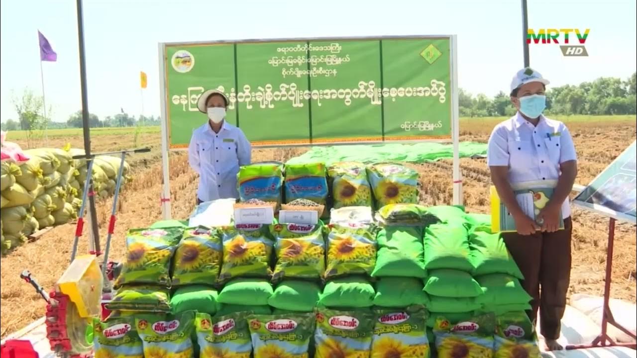 ပုသိမ်မြိုဒေသတွင်း အသေးစား၊ အငယ်စားနှင့် အလတ်စား စီးပွားရေးလုပ်ငန်း ထုတ