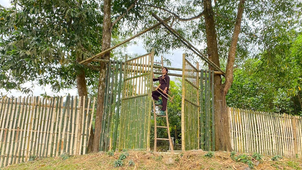 Full video 7 days : Build fences and camp gates with bamboo to avoid ...