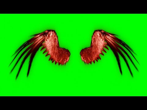 Green Screen Demon Wings video effects