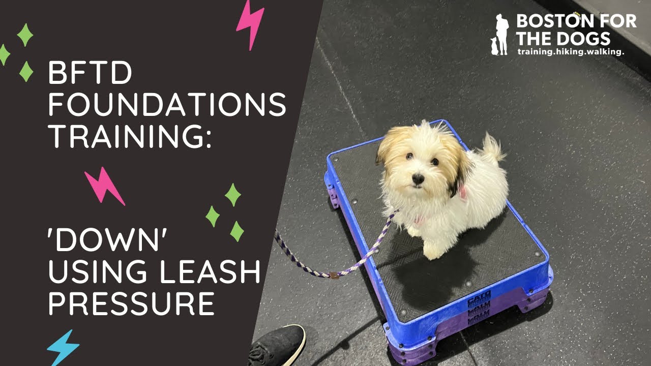 BFTD Foundations Training 'Down' Video - YouTube