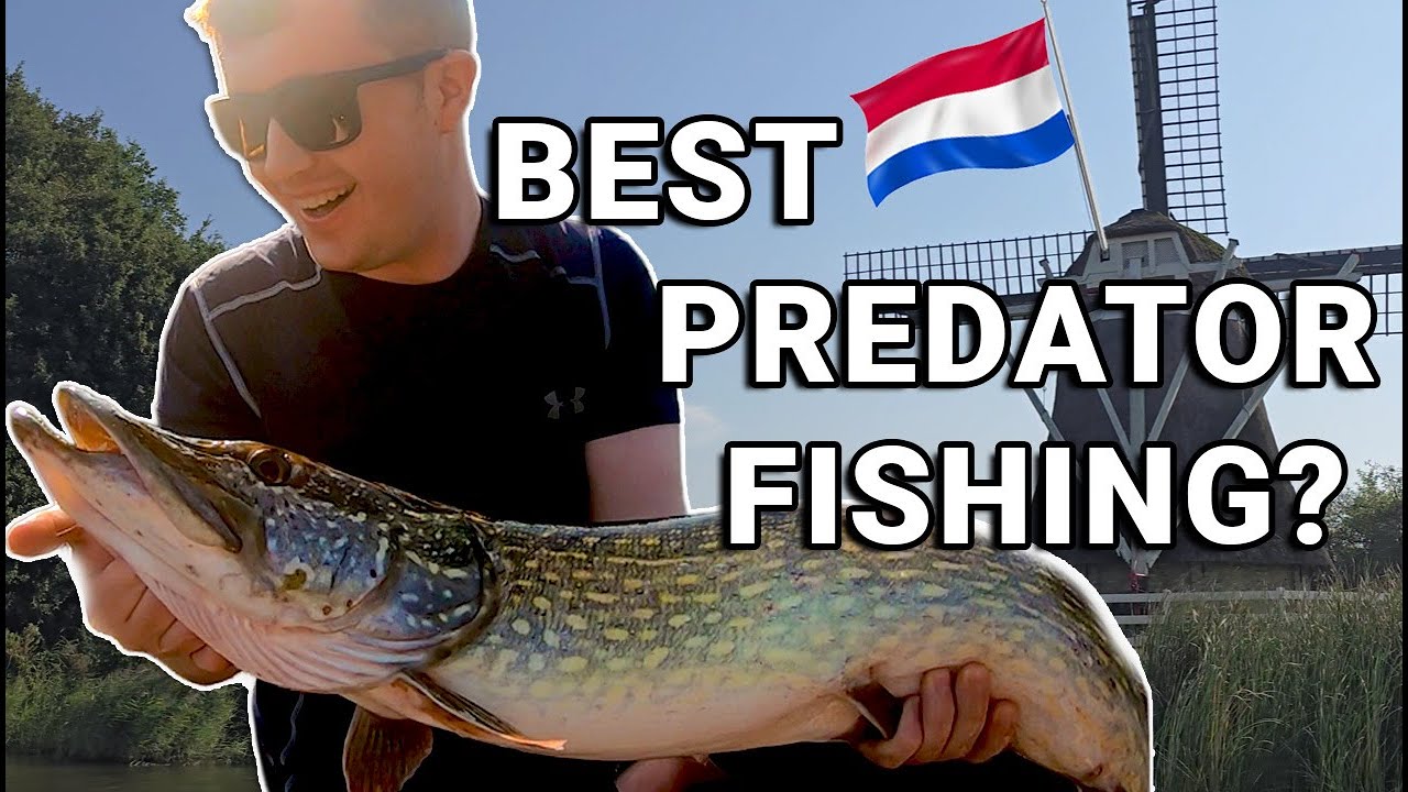 Is this the BEST Predator Fishing in Europe? 🇳🇱 Pike and Perch fishing ...