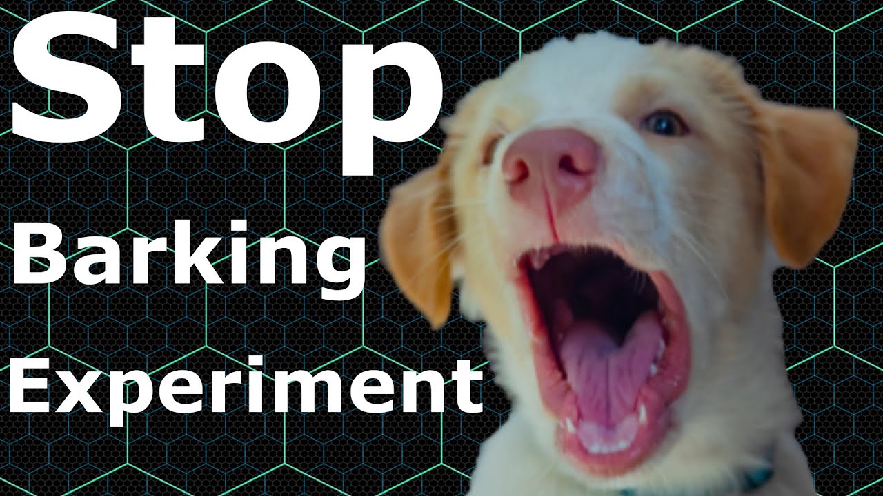 Dog Whistle Sound Loud | Ultrasonic Dog Whistle Sound Effect - YouTube