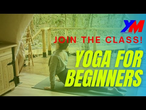Yoga For Beginners Video || Yoga At Home || How To Practice Yoga || Yoga Nidra || Yoga Meditation