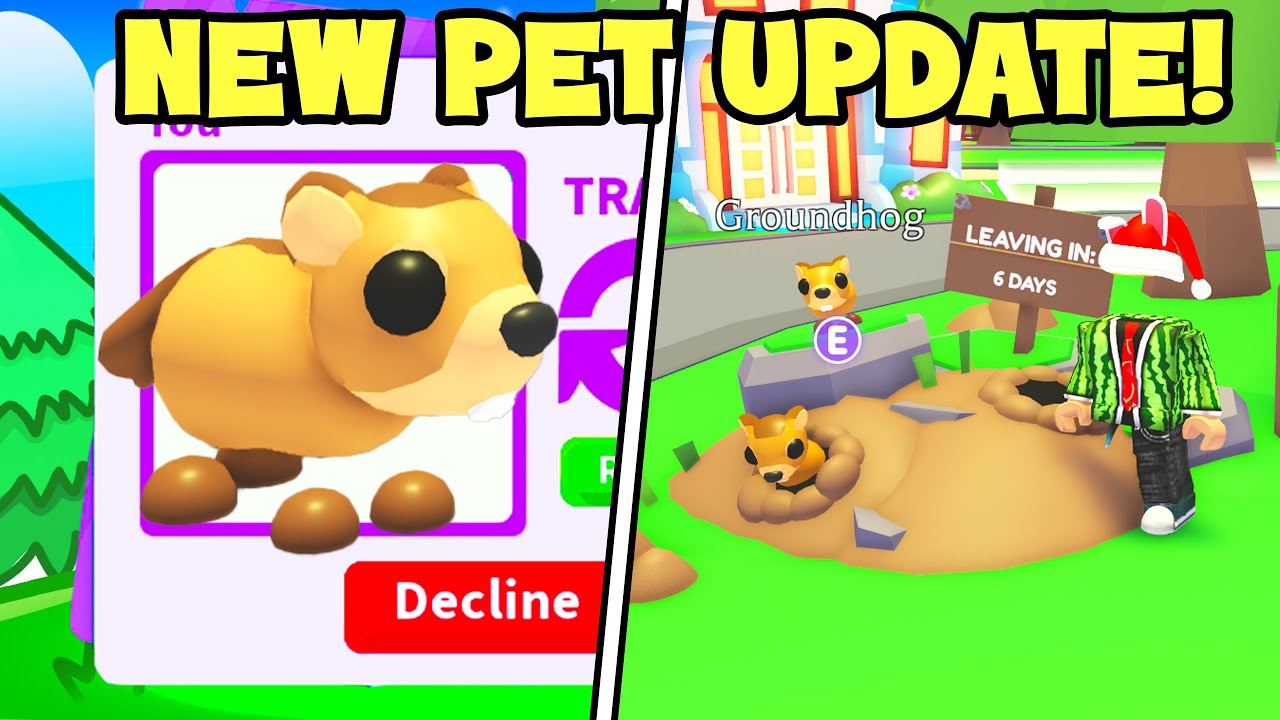 New Pet Update! (Adopt me Groundhog) - YouTube