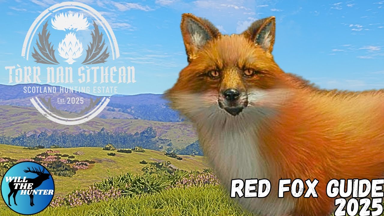 Tòrr nan Sithean (Scotland) Red Fox Guide | TheHunter Call Of The Wild ...