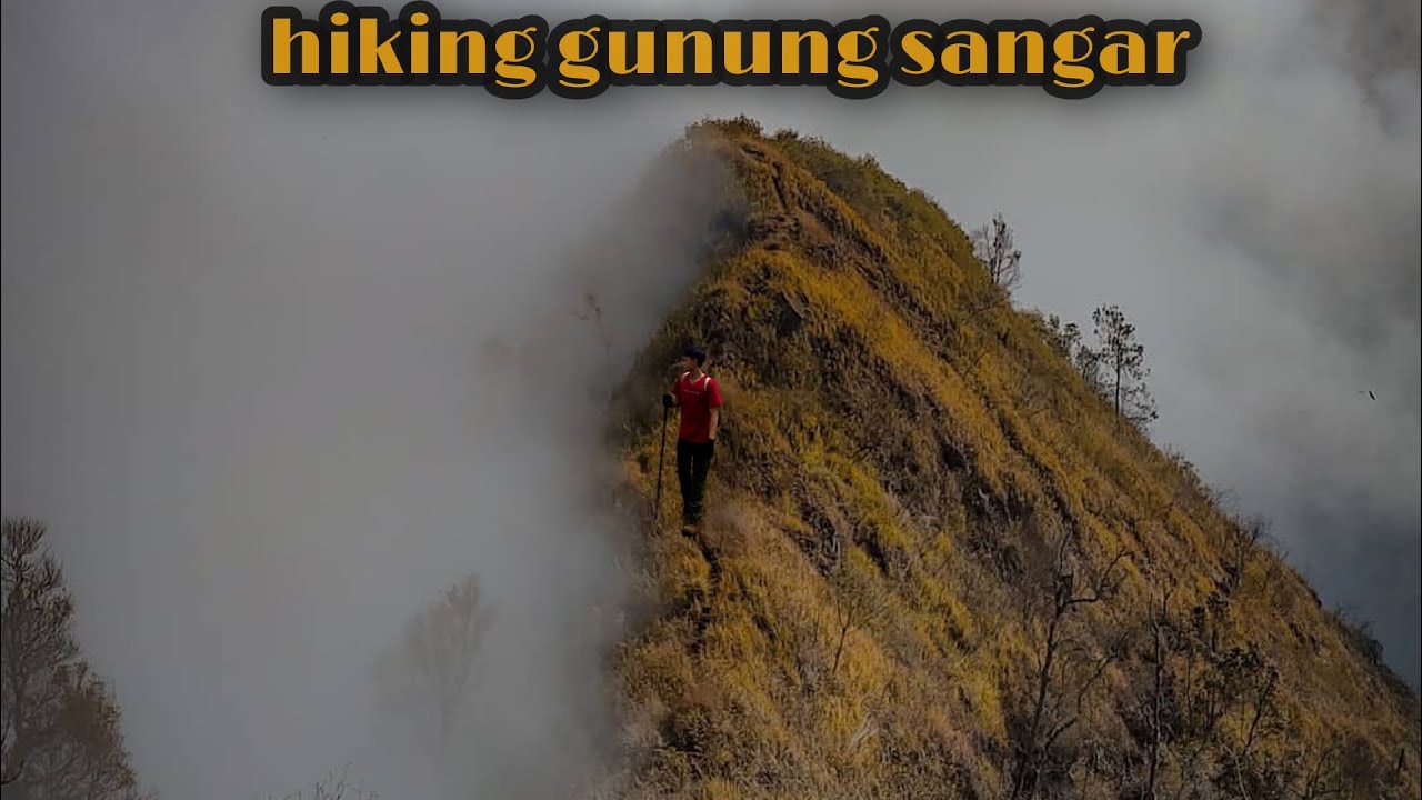 HIKING GUNUNG SANGAR VIA ARJASARI‼️GA JADI TEMBUS KE GUNUNG MEGA ...