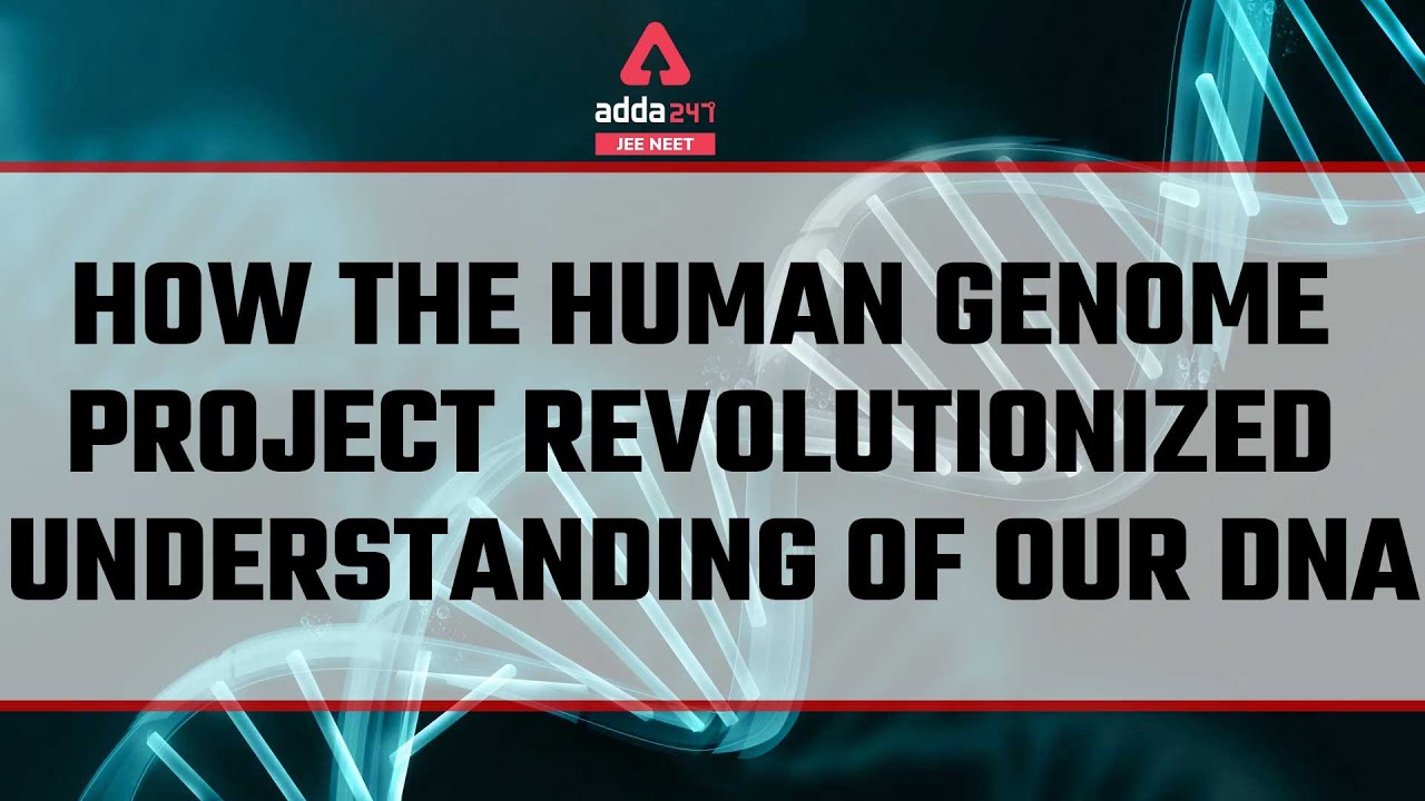 How the Human Genome Project Revolutionized Understanding of our DNA ...