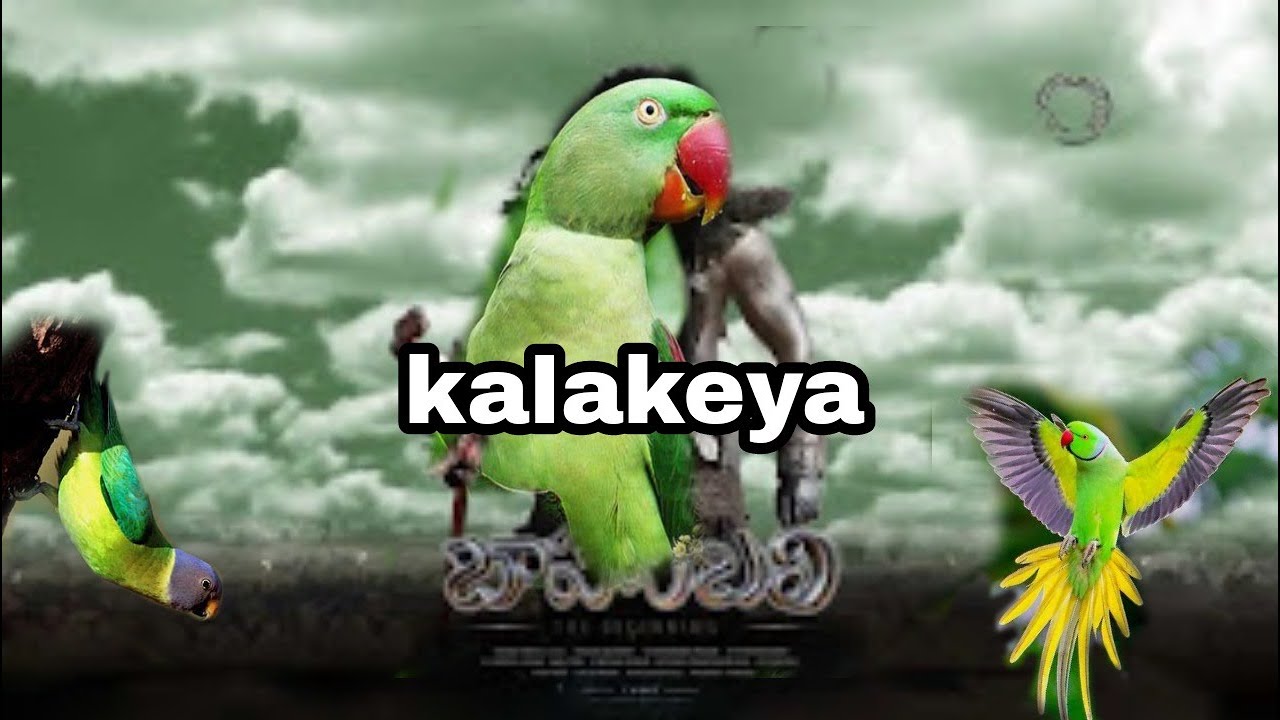 bahubali kalakeya dilogue 😂😂😂 - YouTube