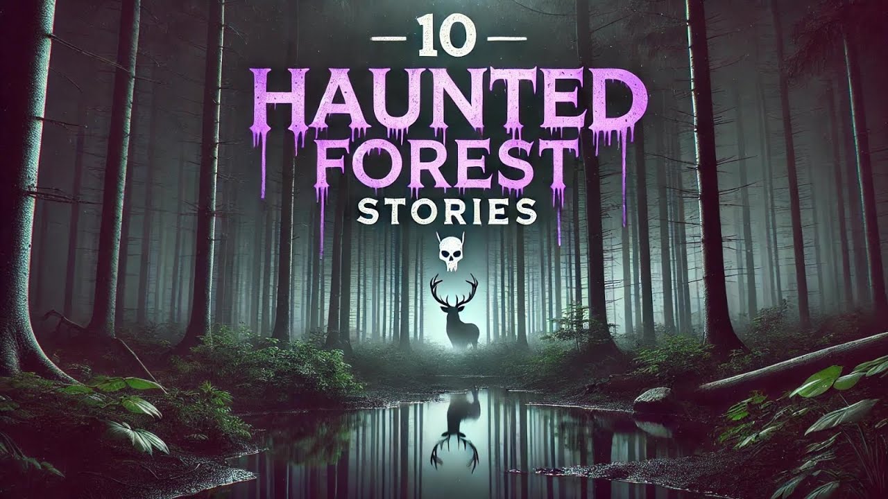 Top 10 Haunted Forests Around the World | Scary Stories & Paranormal ...