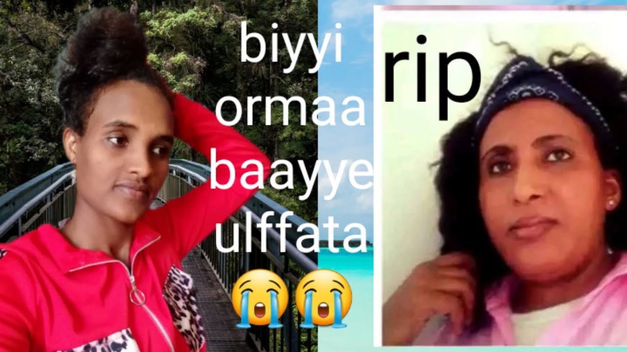 oduu gadda obbetin kenyaa biyya ormaa kesati boqatee😭😭lubbu ishii ...