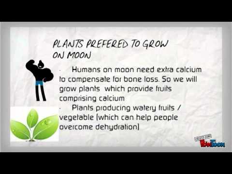 Ecosystem on moon - YouTube