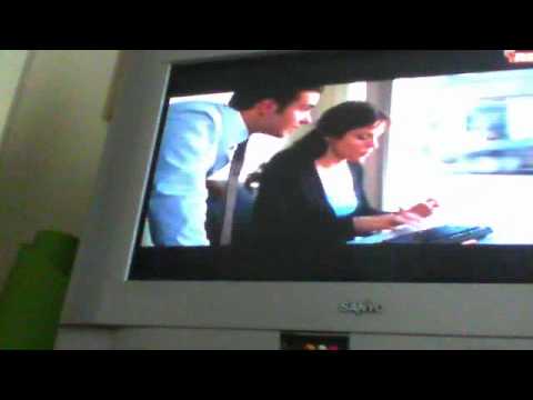 spider wick cronicles