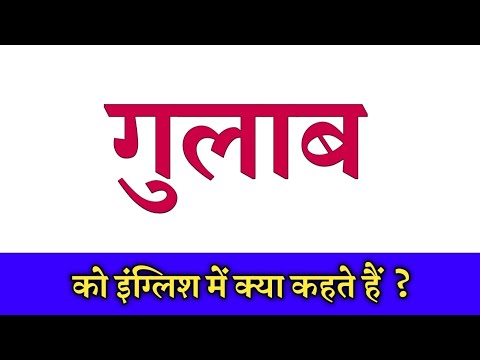 गुलाब को इंग्लिश में क्या कहते हैं।Gulab ko English me kya kahte hai ...