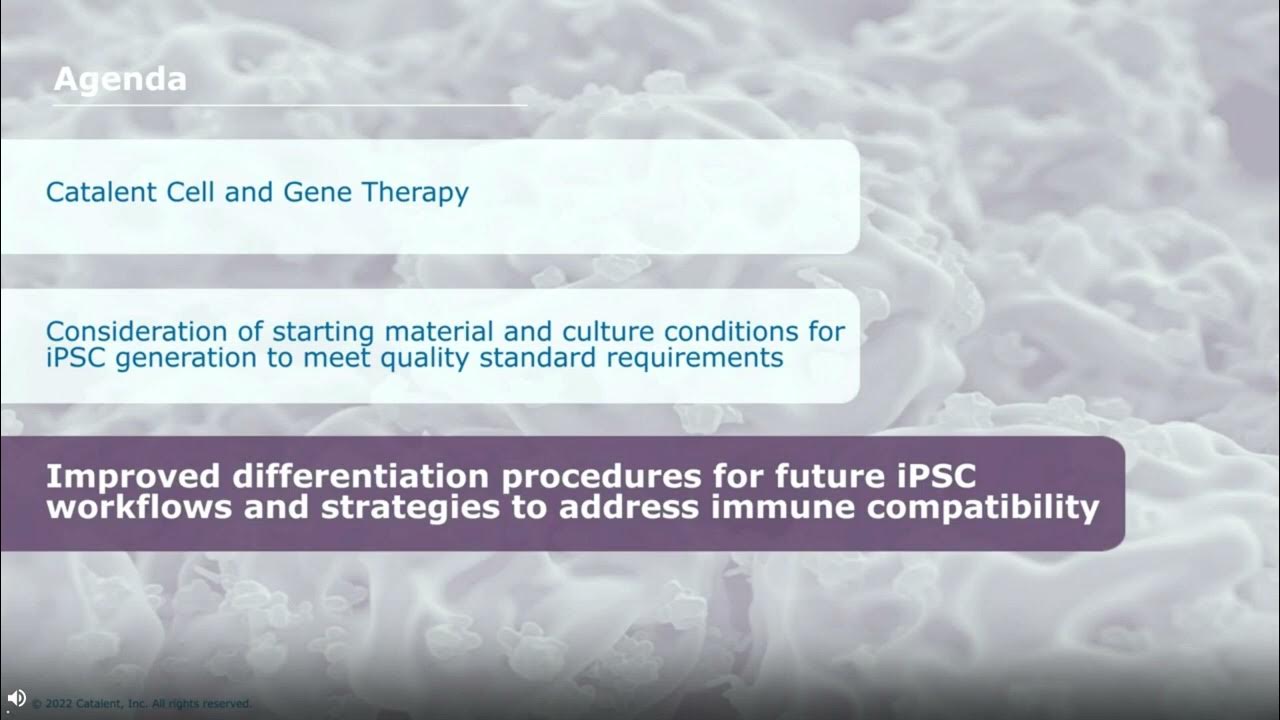 Achieving clinical quality for human iPSC generation and expansion ...