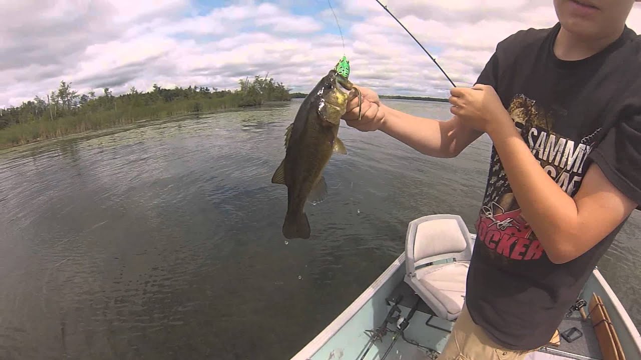 Small Largemouth Bass on live target frog - YouTube