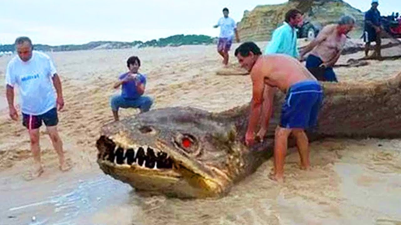 Deadliest monsters that you'll be glad to know went extinct - YouTube