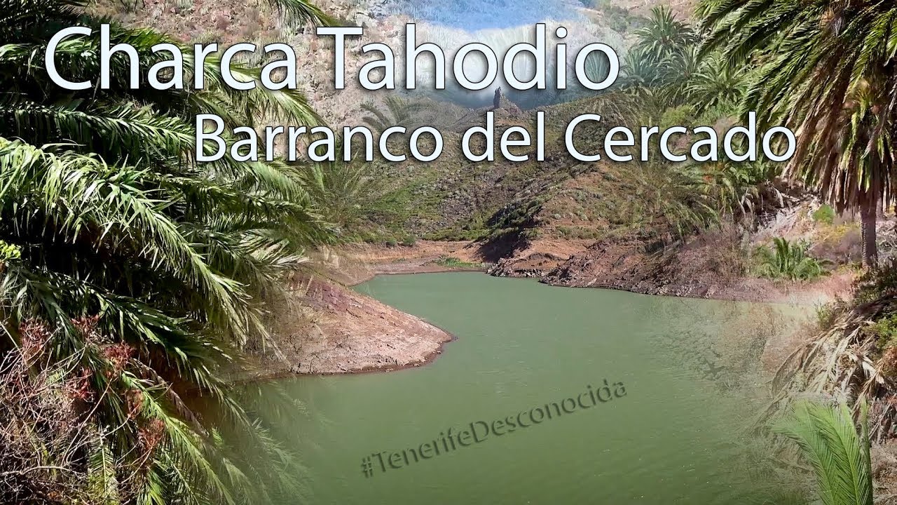 Charca TAHODIO 🏊‍♀️ y Barranco del CERCADO 🌴 - Tenerife Desconocida ...