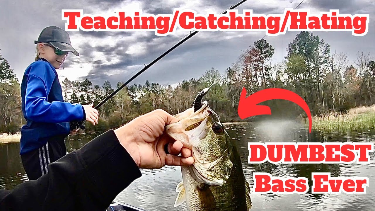 Teaching, Catching, and Hating (Dumbest Fish Ever) - YouTube