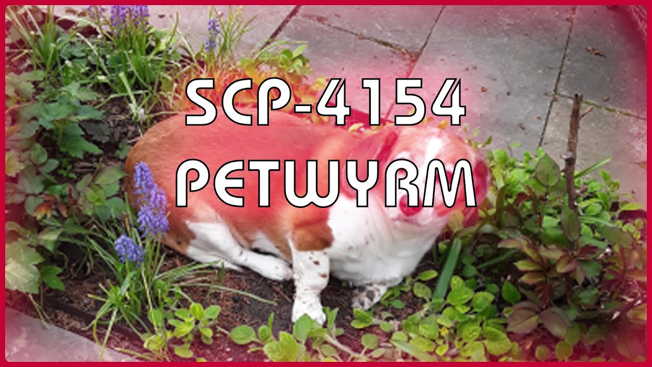 SCP 4154 - Petwyrm - YouTube
