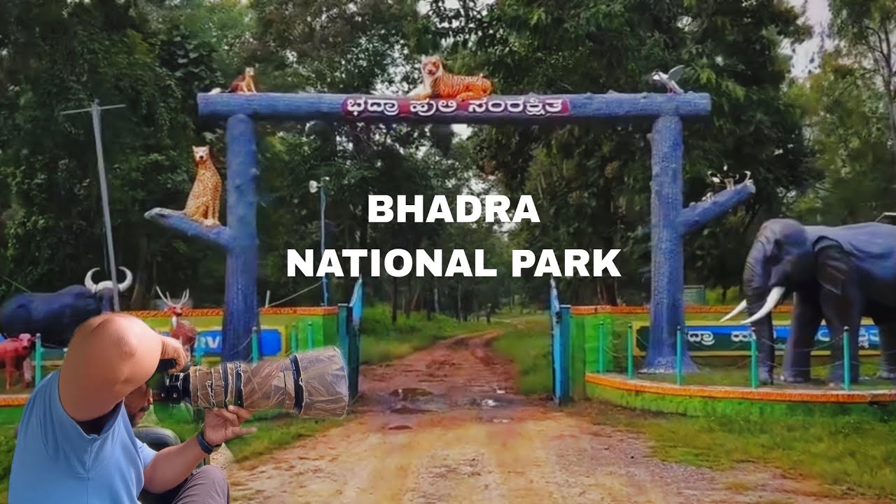 BHADRA NATIONAL PARK | KARNATAKA WILD BEUTIFUL FOREST ...