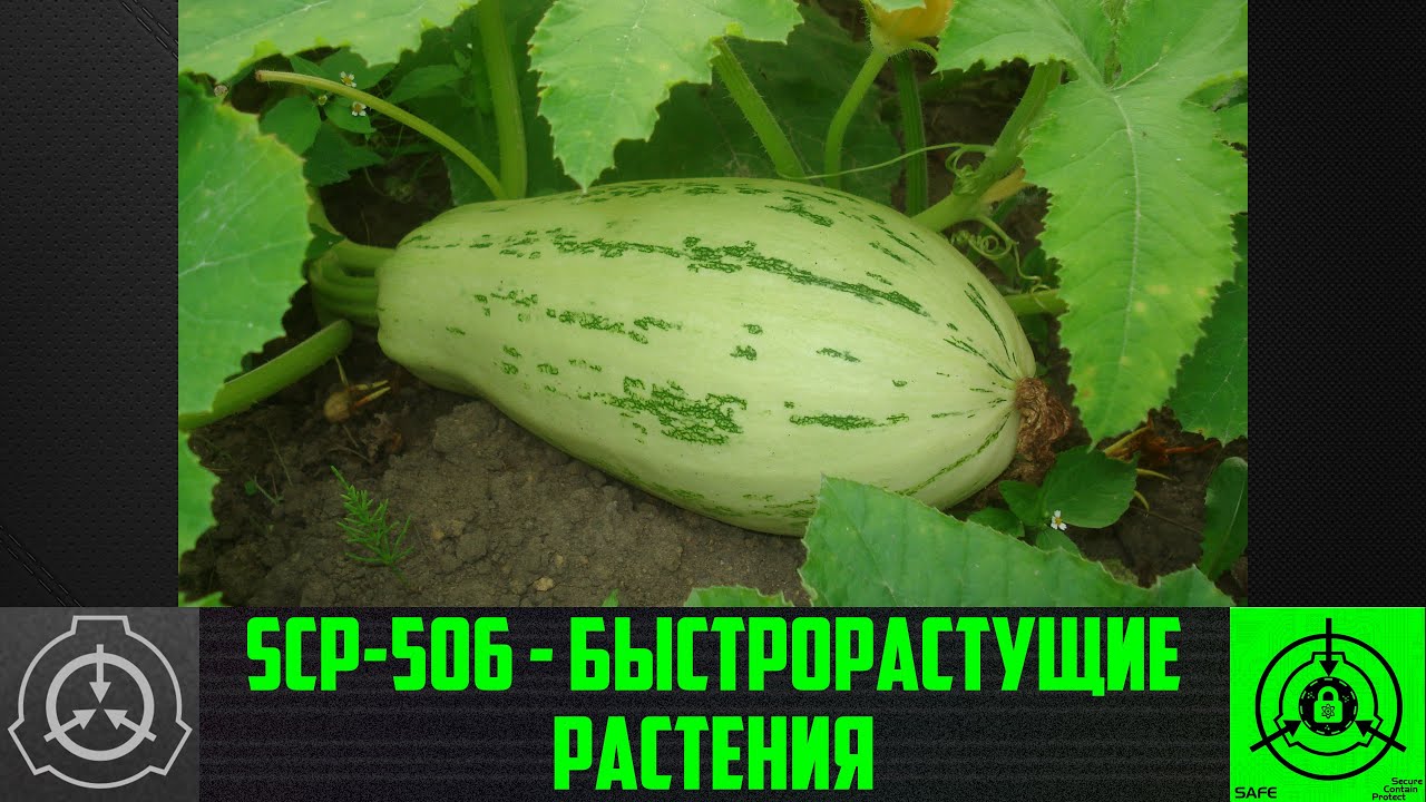 SCP-506 - Быстрорастущие растения 【СТАРАЯ ОЗВУЧКА】 - YouTube