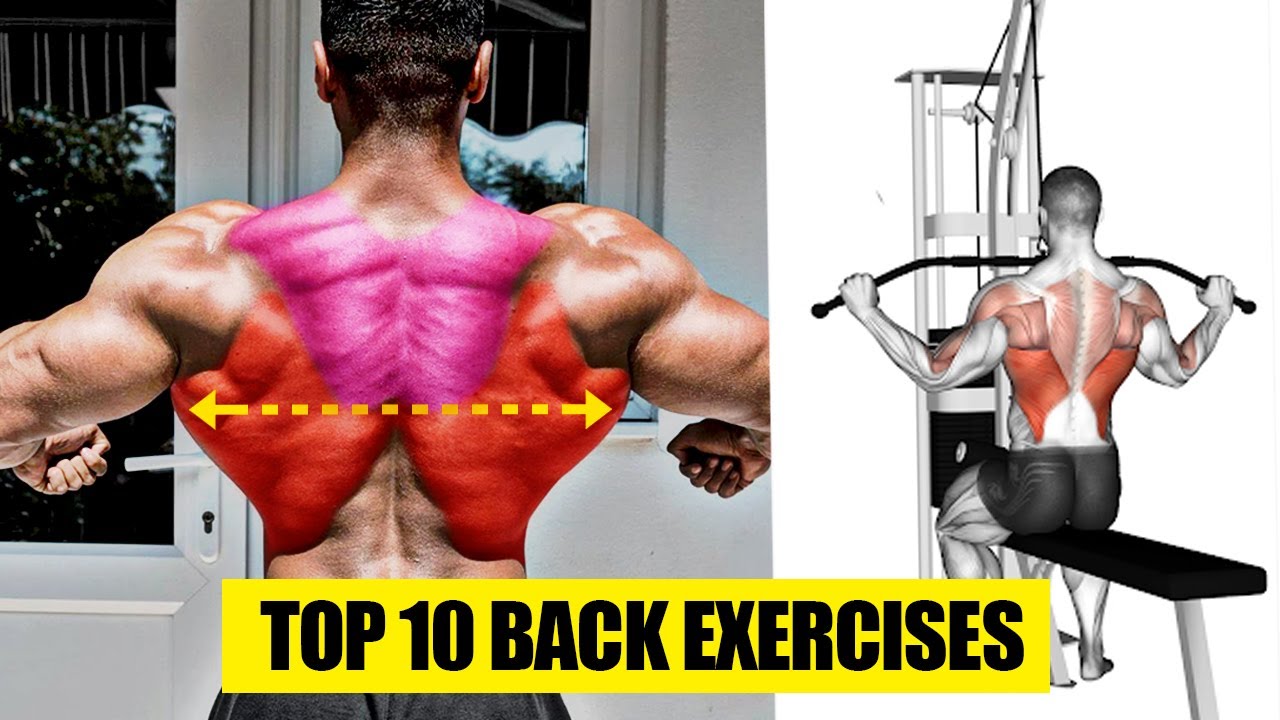 Top 10 Back Exercises to Build a Bigger Back Fast | Back Exercises ...