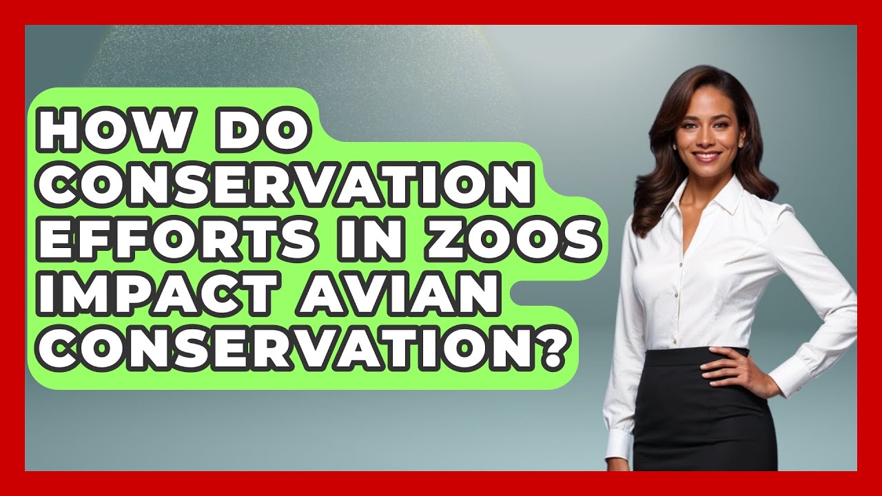 How Do Conservation Efforts in Zoos Impact Avian Conservation? | Bird ...