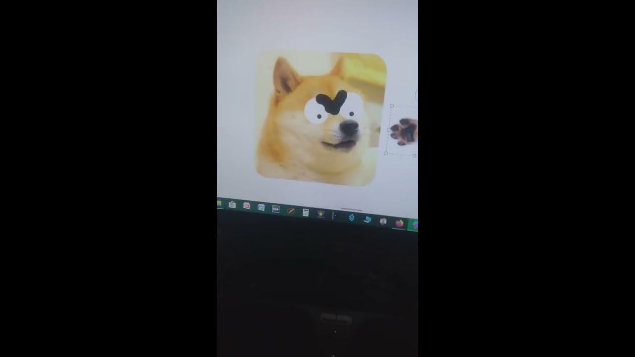THE REAL FLAKE DOGE VS THE REAL DOGE - YouTube