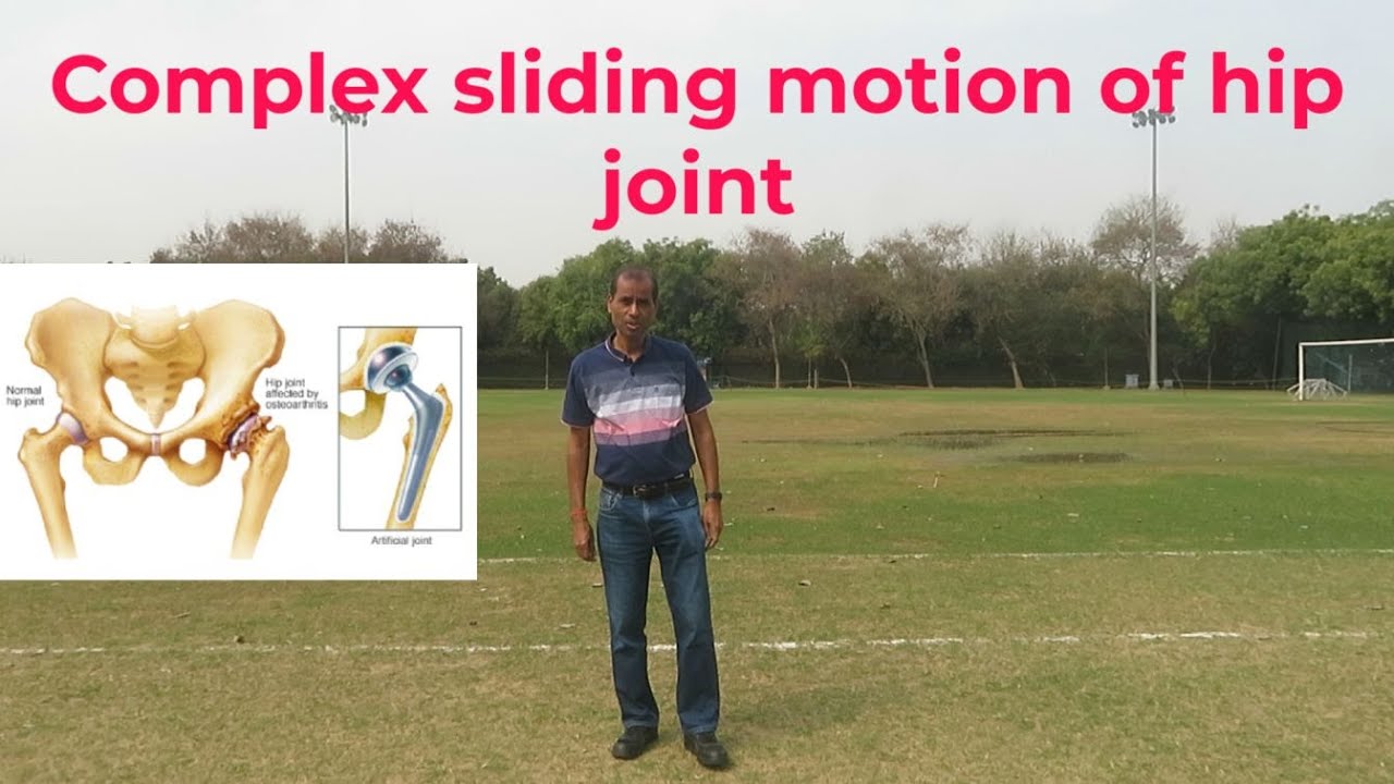 Complex Hip Joint Motion - Three ways of sliding between pelvis ...