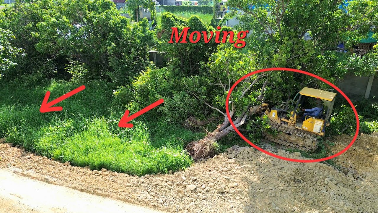 BEAUTIFUL Project Moving Tree by Mini Bulldozer That Work Slowly! -4K ...